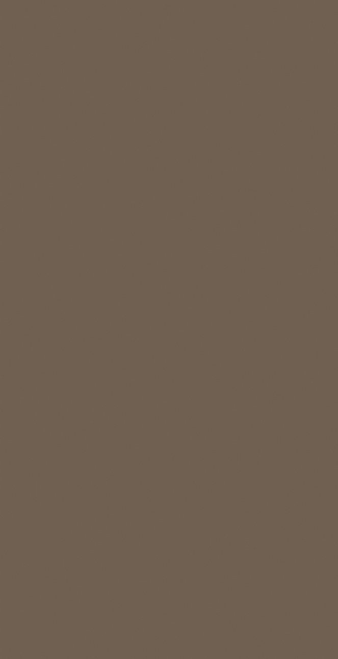 CRAYONS HAZELNUT PORCELAIN TILE 16X48 – Tilehouz